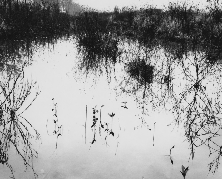 Joseph Jachna « Stephen Daiter Gallery