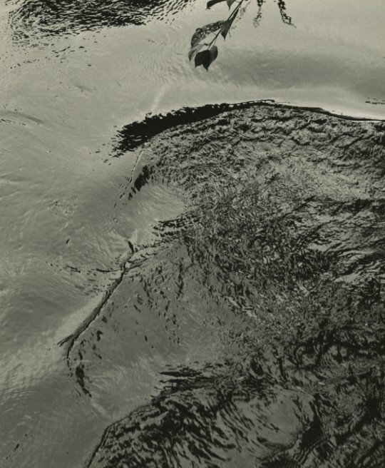 Joseph Jachna « Stephen Daiter Gallery