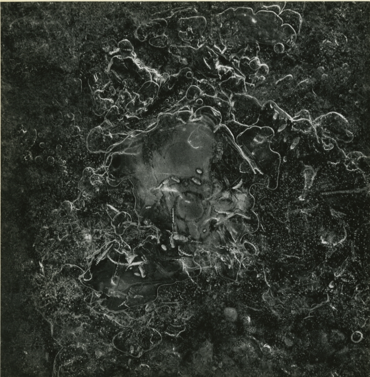 Joseph Jachna « Stephen Daiter Gallery