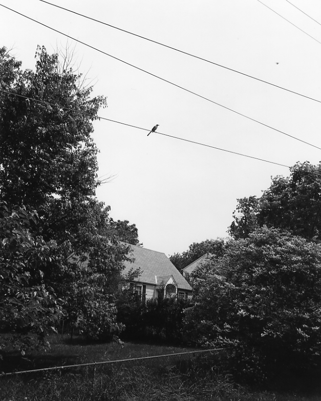 John Gossage « Stephen Daiter Gallery