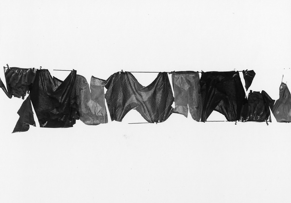 Charles Swedlund « Stephen Daiter Gallery