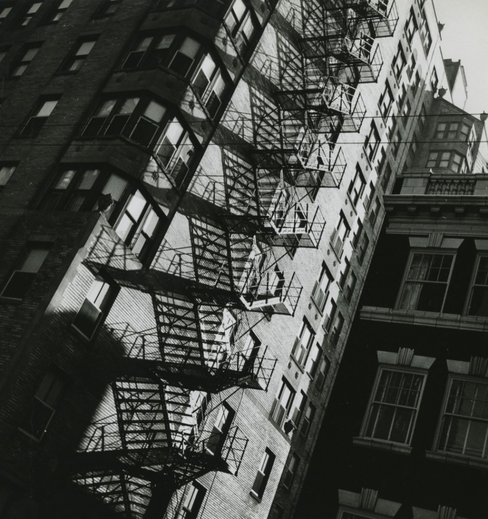 Ferenc Berko « Stephen Daiter Gallery