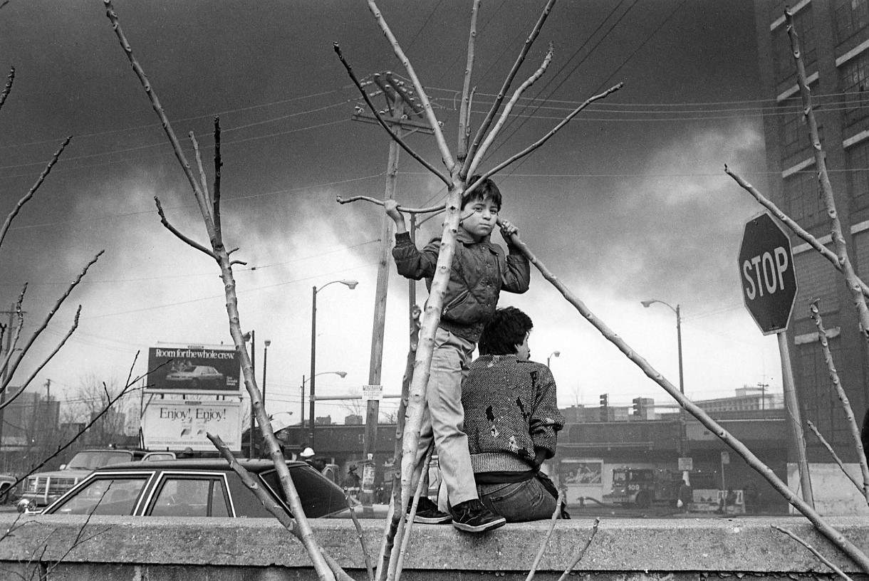 Jay King « Stephen Daiter Gallery