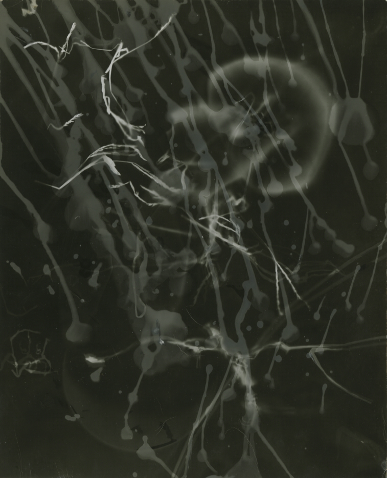 Mary Ann Lea (Dorr) « Stephen Daiter Gallery