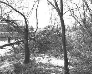 John Gossage: The Complete Pond and a Little Romance « Stephen Daiter ...