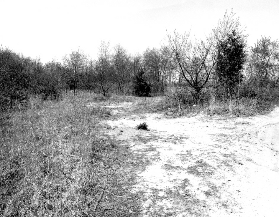 John Gossage: The Complete Pond and a Little Romance « Stephen Daiter ...