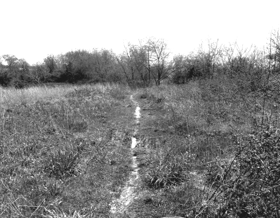 John Gossage: The Complete Pond and a Little Romance « Stephen Daiter ...