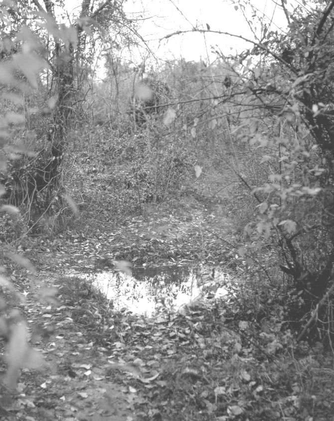 John Gossage: The Complete Pond and a Little Romance « Stephen Daiter ...