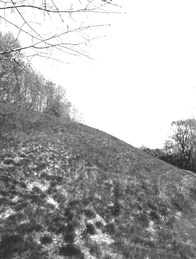 John Gossage: The Complete Pond and a Little Romance « Stephen Daiter ...