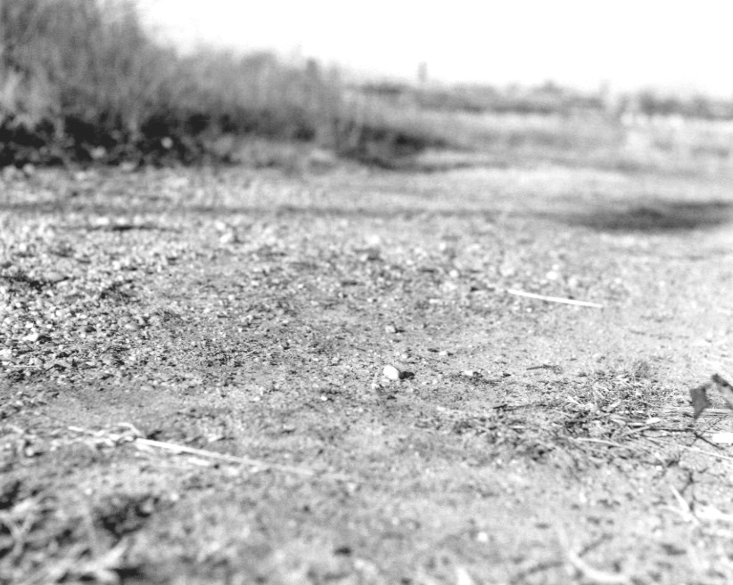 John Gossage: The Complete Pond and a Little Romance « Stephen Daiter ...