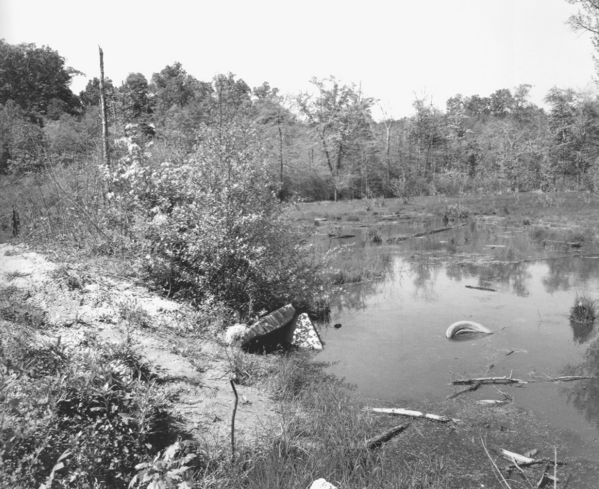 John Gossage: The Complete Pond and a Little Romance « Stephen Daiter ...