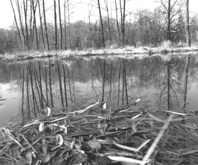 John Gossage: The Complete Pond and a Little Romance « Stephen Daiter ...