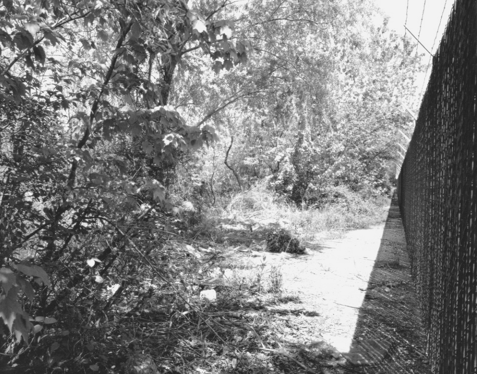 John Gossage: The Complete Pond and a Little Romance « Stephen Daiter ...