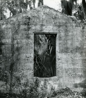 Charles Swedlund: Circa 1955 « Stephen Daiter Gallery