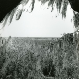 Charles Swedlund: Circa 1955 « Stephen Daiter Gallery