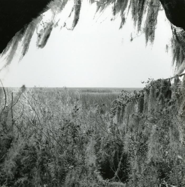 Charles Swedlund: Circa 1955 « Stephen Daiter Gallery