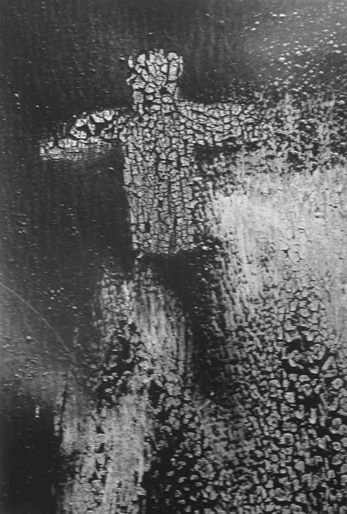 Aaron Siskind « Stephen Daiter Gallery