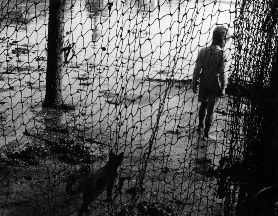 Nathan Lerner « Stephen Daiter Gallery