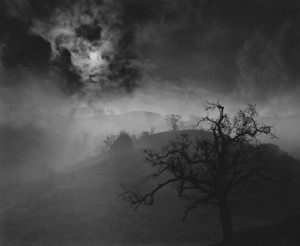 Wynn Bullock « Stephen Daiter Gallery