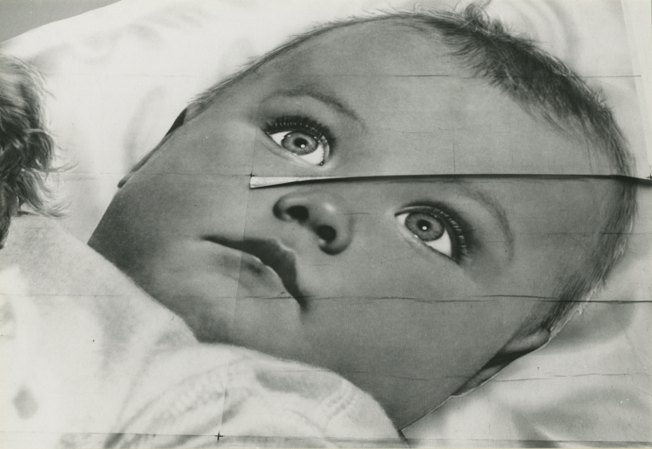 David Windsor « Stephen Daiter Gallery