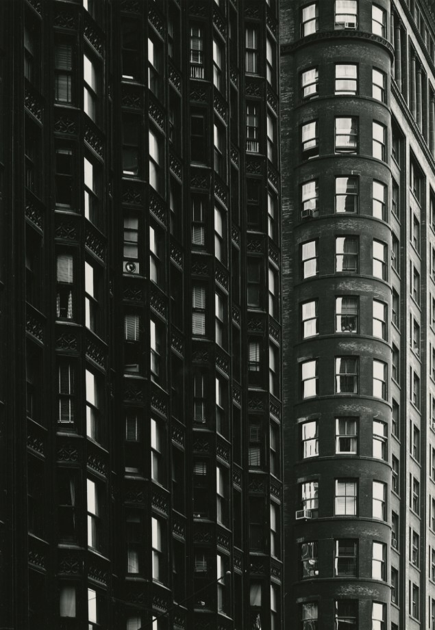 David Windsor « Stephen Daiter Gallery