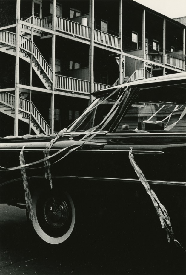 David Windsor « Stephen Daiter Gallery