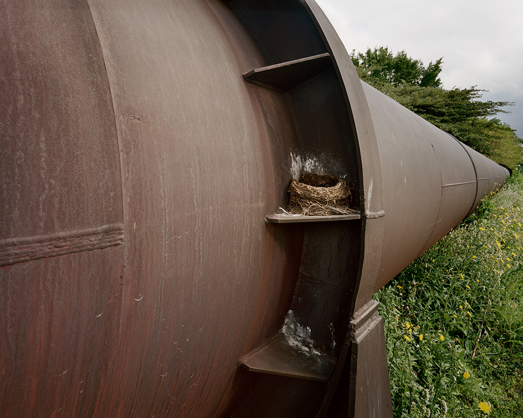 Brad Temkin « Stephen Daiter Gallery