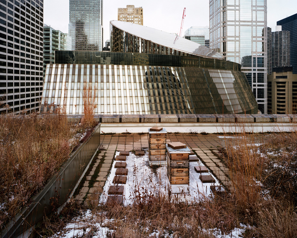 Brad Temkin « Stephen Daiter Gallery