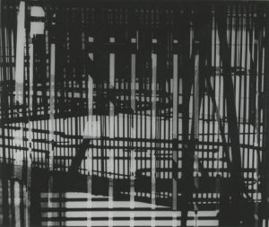 Robert Stiegler: Photographs « Stephen Daiter Gallery