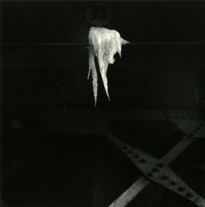 Robert Stiegler: Photographs « Stephen Daiter Gallery