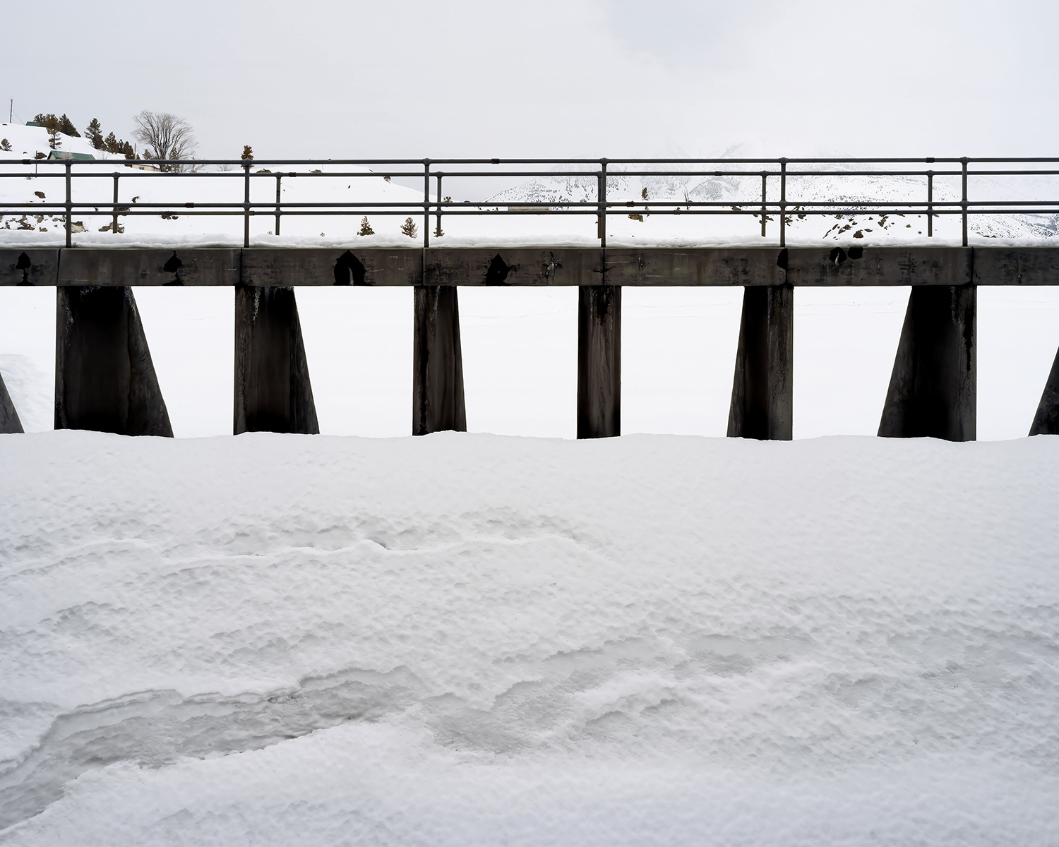 Under the Influence of Water « Stephen Daiter Gallery