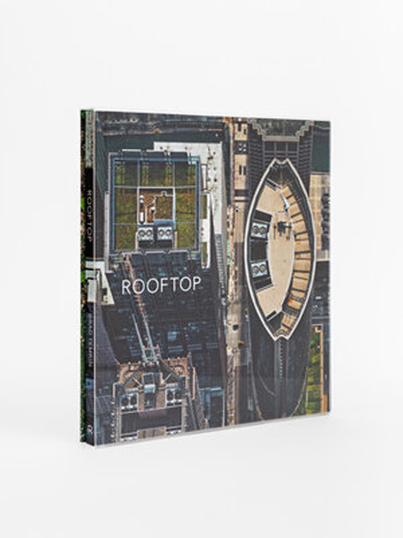 Brad Temkin: Rooftop « Stephen Daiter Gallery