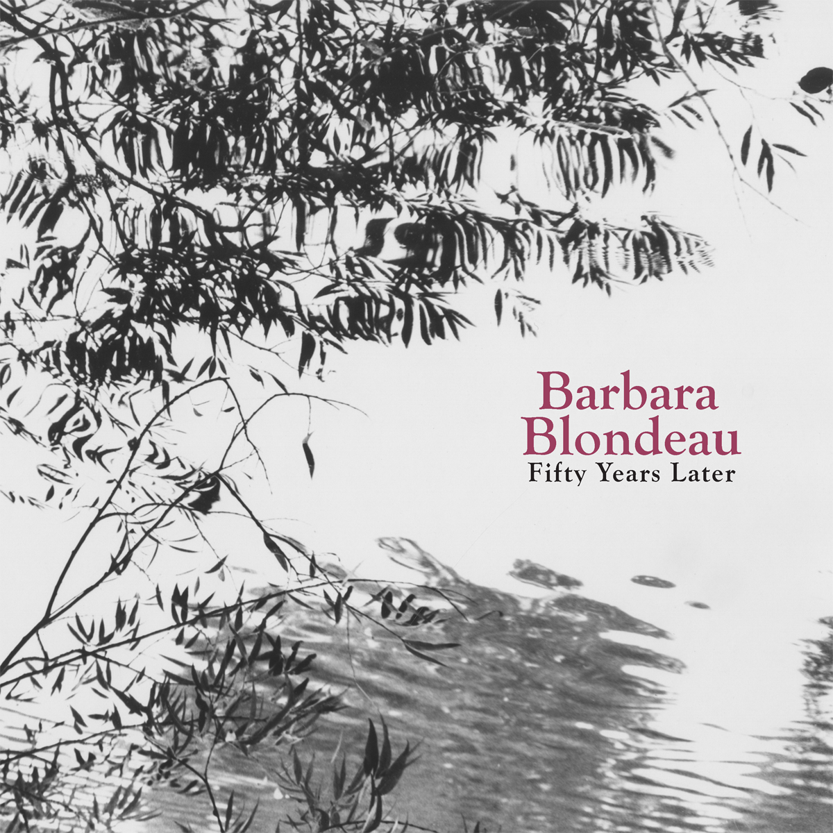 Barbara Blondeau: Fifty Years Later « Stephen Daiter Gallery